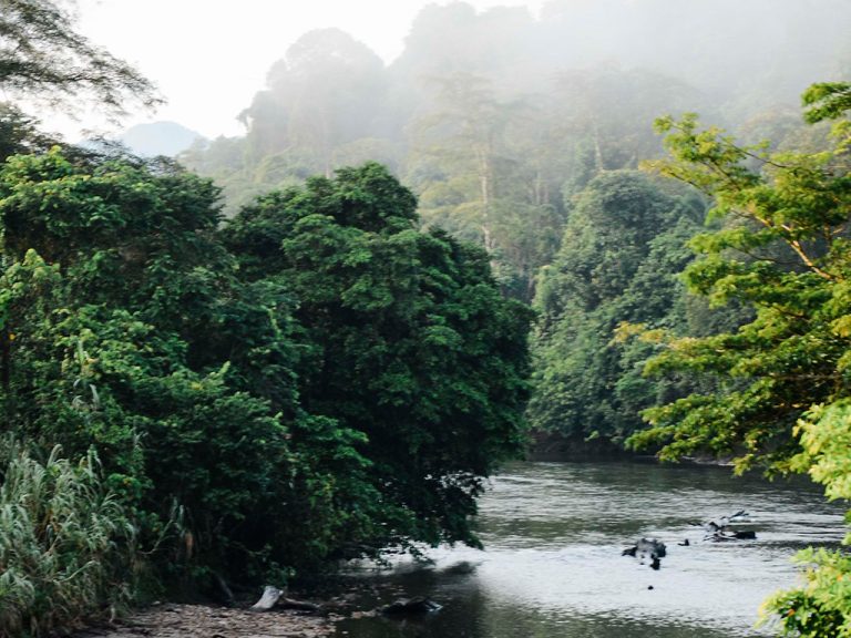 Temburong Tours – BorneoGuide – Your tour operator in Brunei, Sabah and ...
